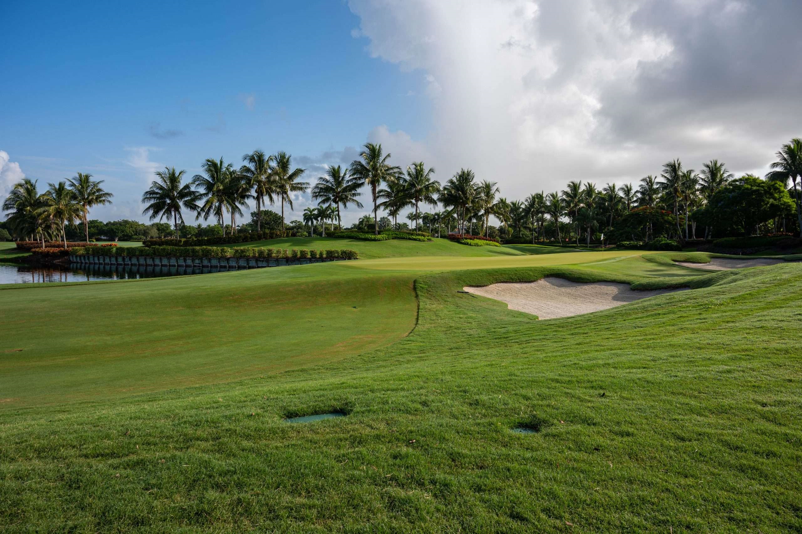 Photo Gallery - Palm Beach Golf Association